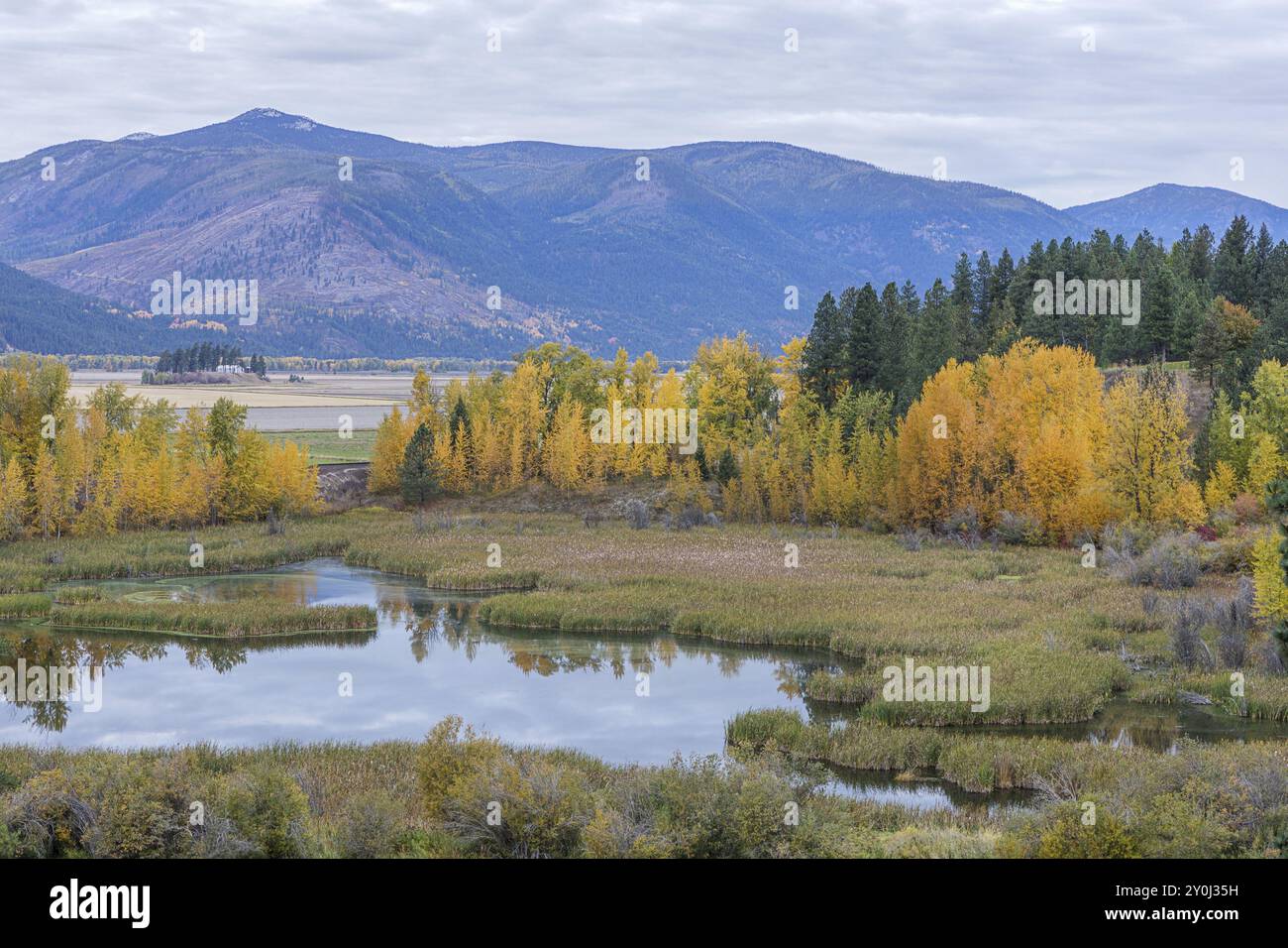 Fall landscape along Deep Creek Loop near Bonners Ferry, Idaho Stock ...