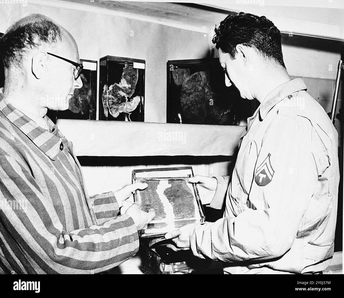 A guide shows jars containing human organs removed from prisoners in ...