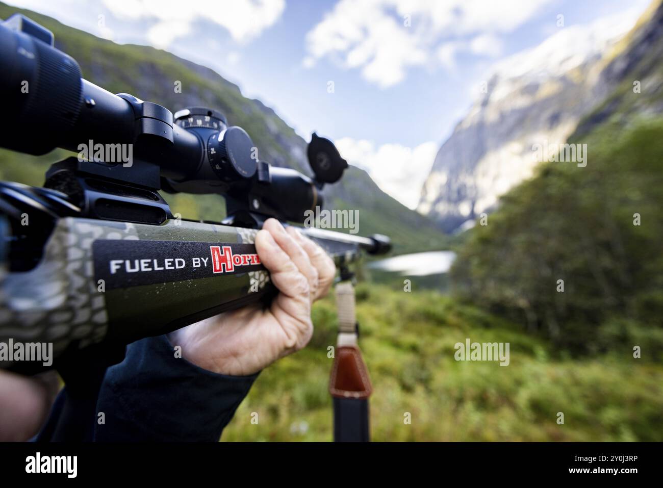 Viddal, More og Romsdal, Norway, Hunting, Rifle, Rifle scope, Europe ...
