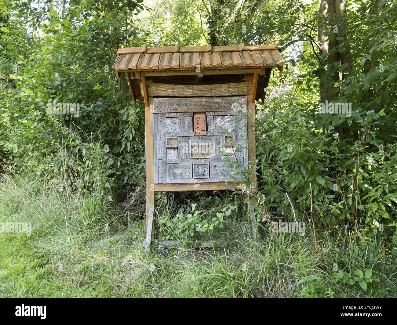 Insect hotel for solitary bees and artificial nesting place for insects ...