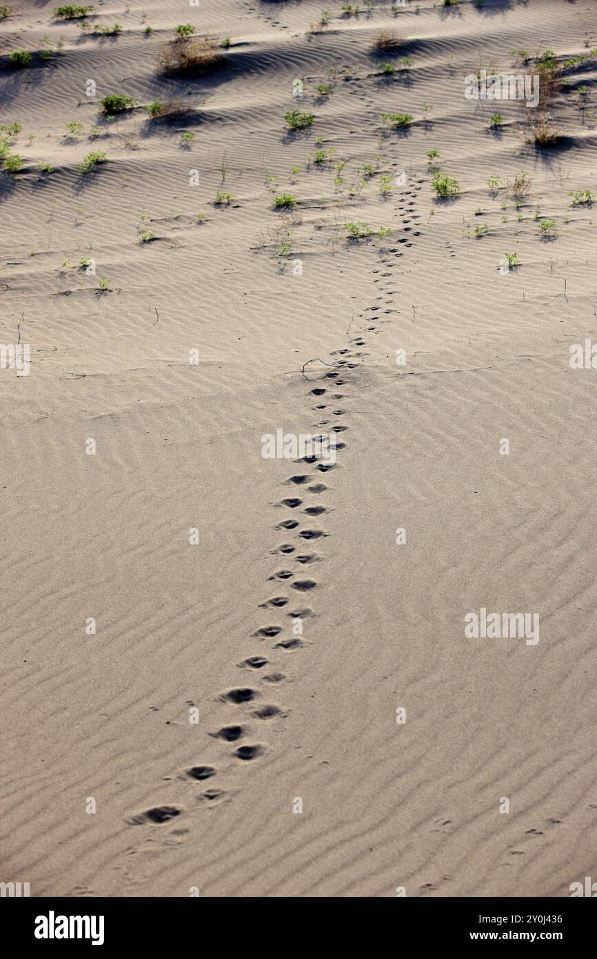 Windy tracks hi-res stock photography and images - Alamy