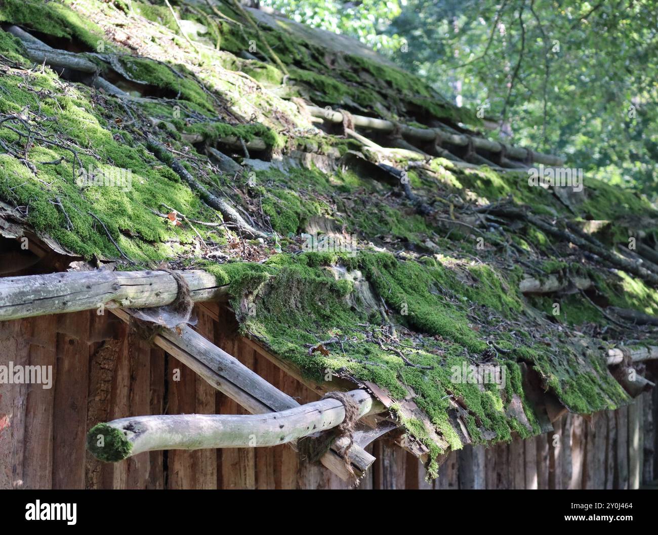 old moss-covered reconstructed Medieval roof Stock Photo - Alamy