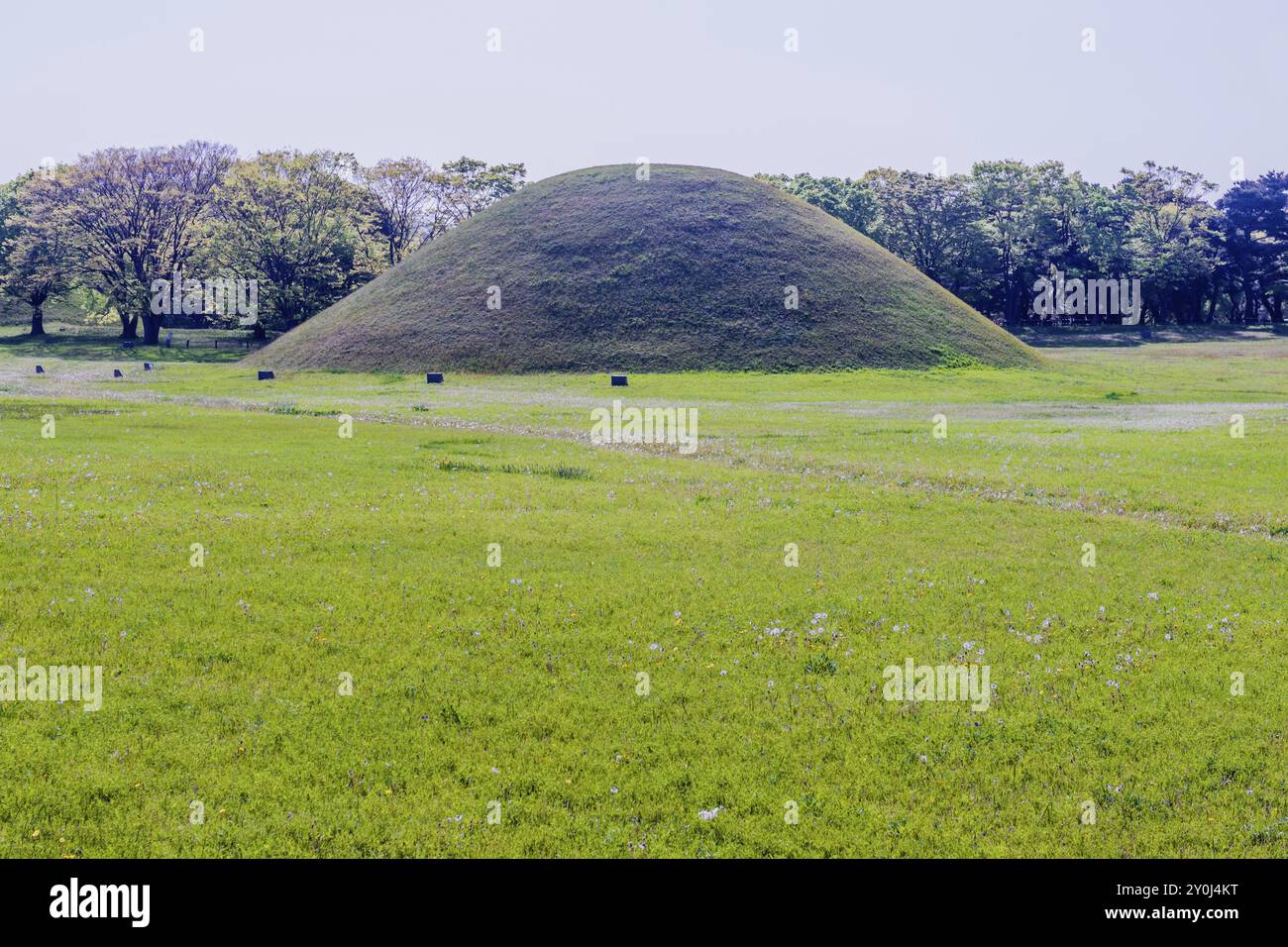 Large mound of royal tomb in Gyeongju city, South Korea, Asia Stock ...