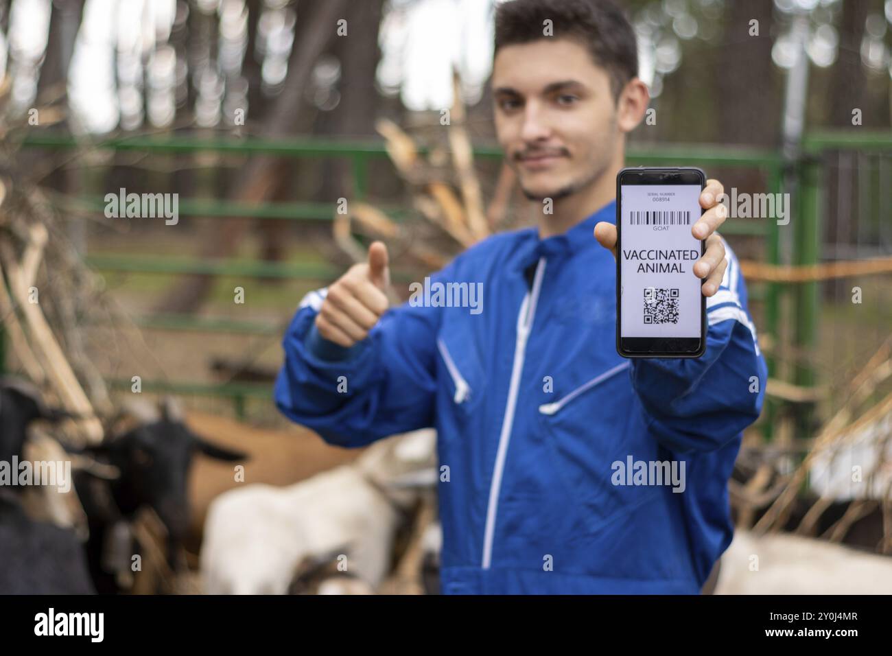 Veterinarian showing the screen of a mobile phone with the vaccination ...