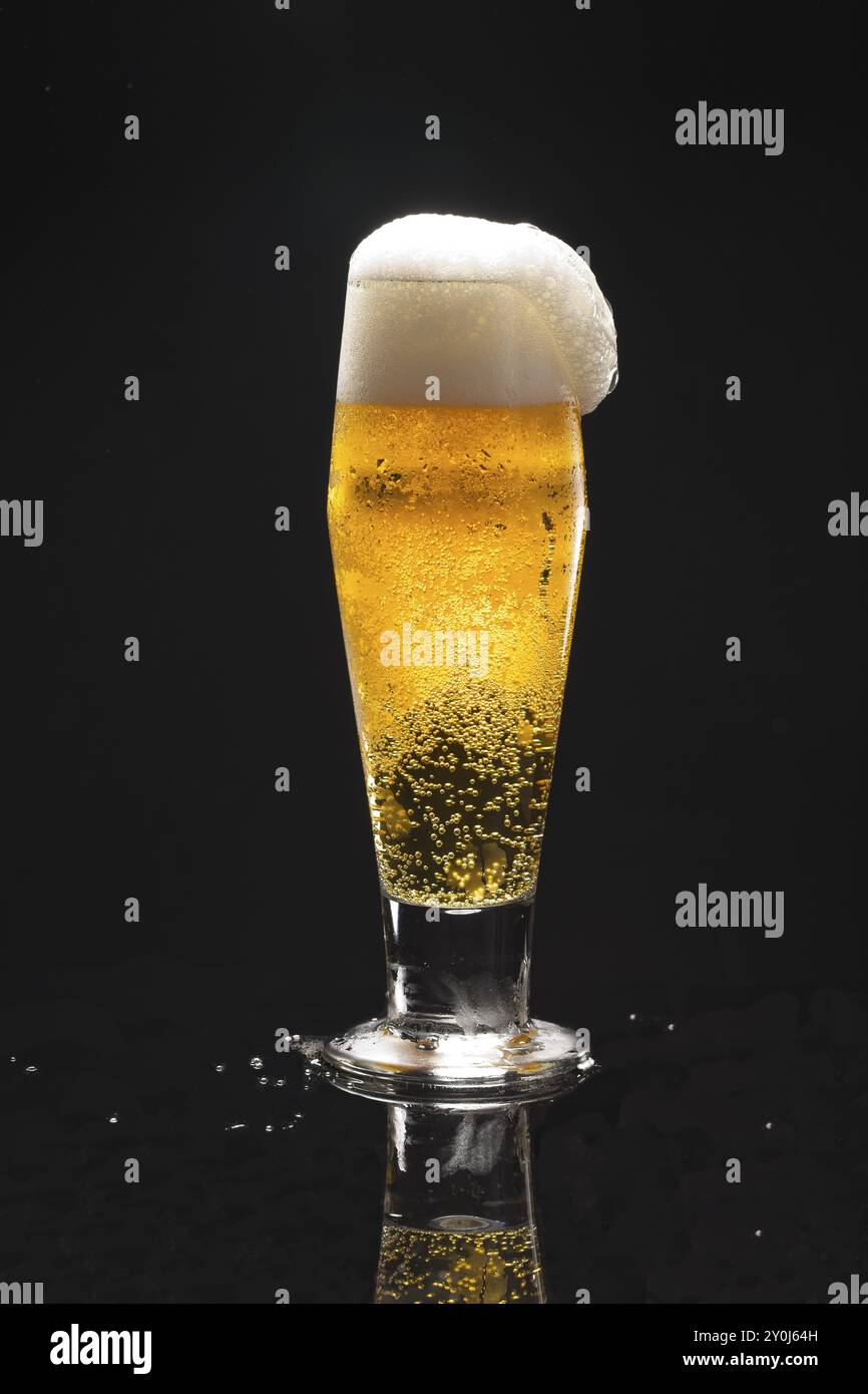 A close up uof a glass of beer against a black background starting to ...