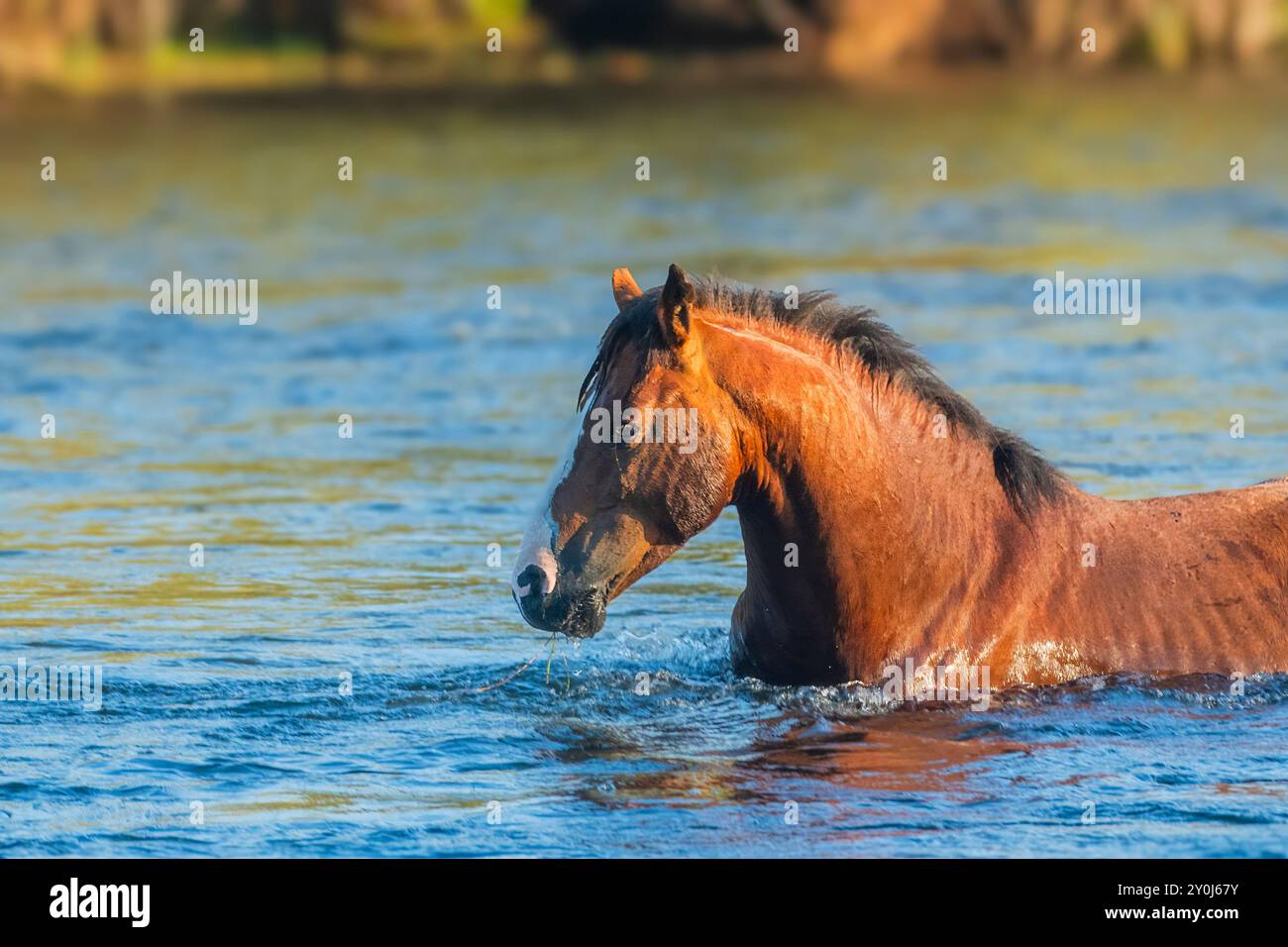 Free river hi-res stock photography and images - Alamy
