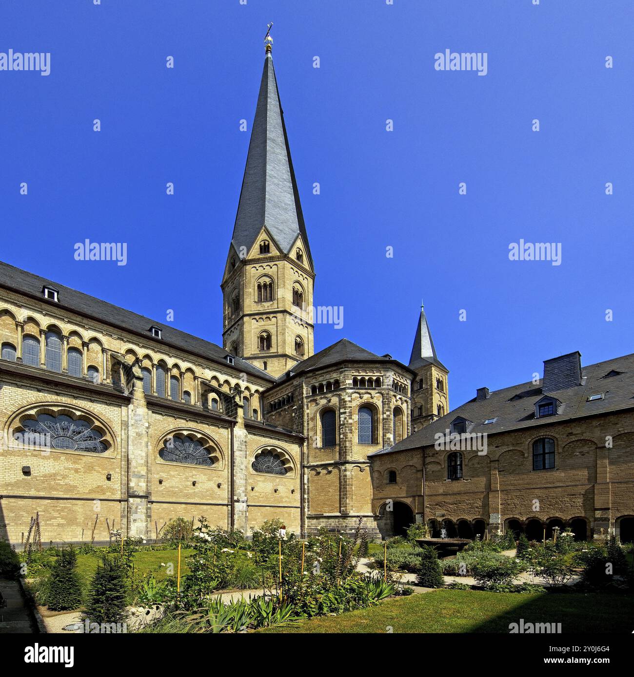 Bonn Minster, also known as the Minster Basilica, the main Catholic ...