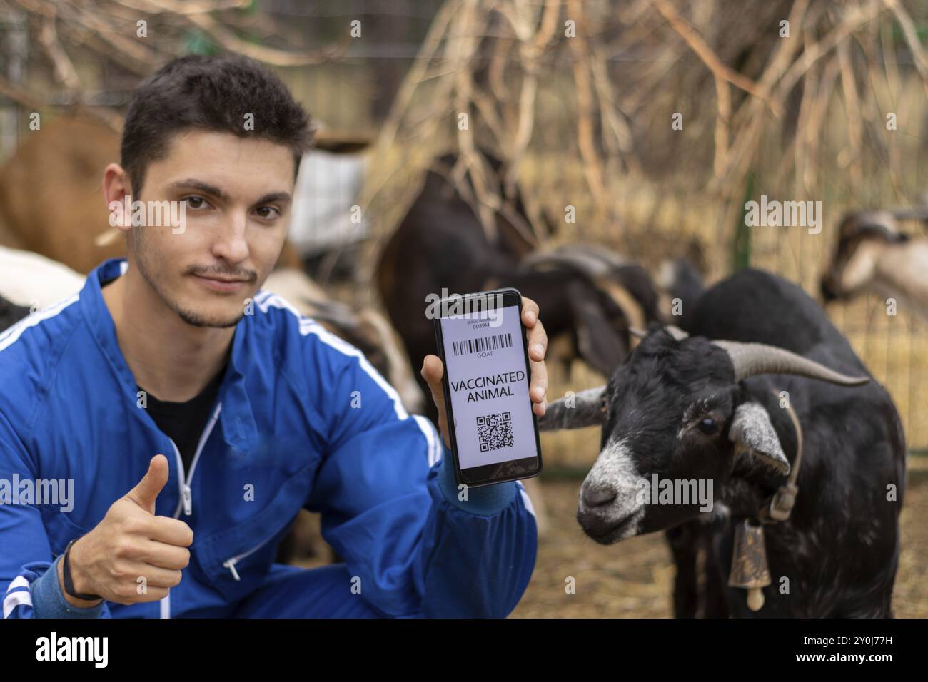Veterinarian showing the screen of a mobile phone with the vaccination ...