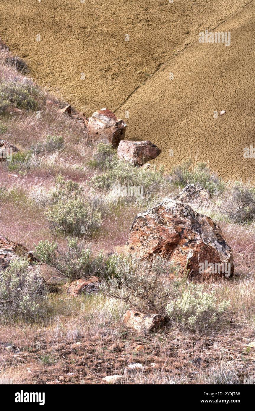 The large geologic formations within the desert region of Oregon Stock ...