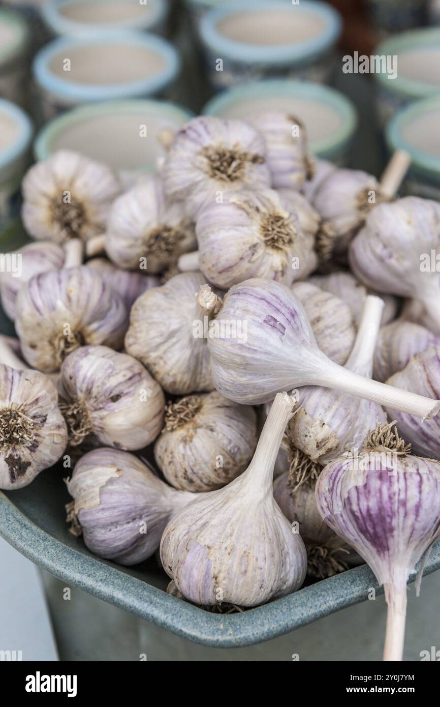 Garlic bulbs in containers hi-res stock photography and images - Alamy