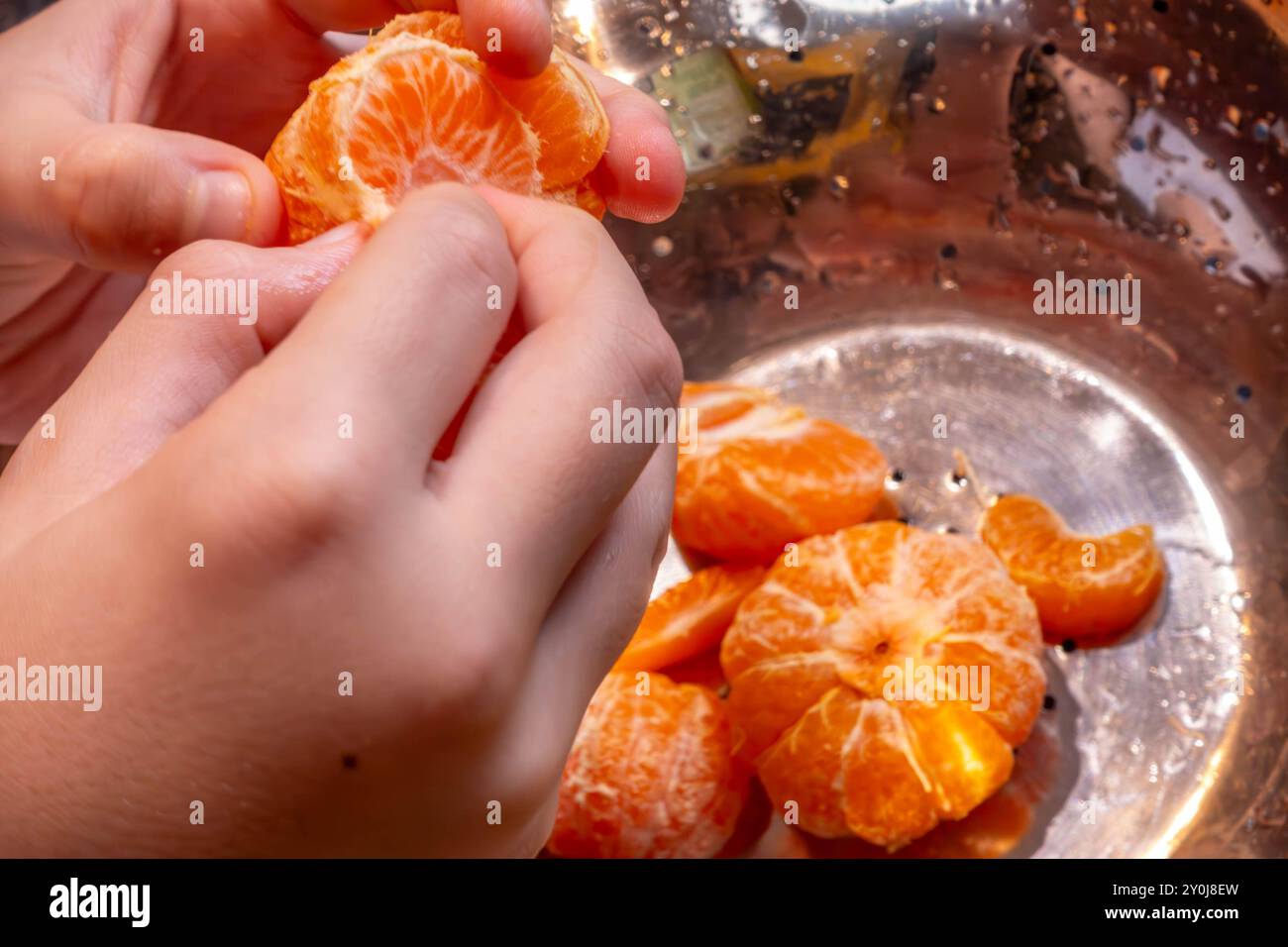 Close up of a child's hands splitting peeled mandarin oranges into ...