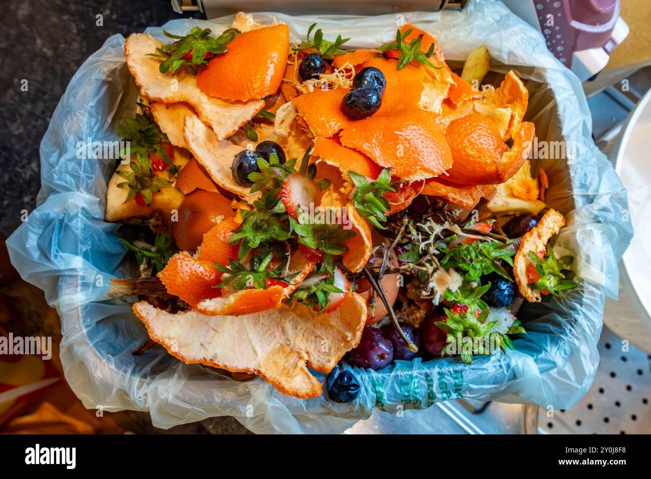 Food waste in a kitchen food waste caddy, full and ready to empty into ...