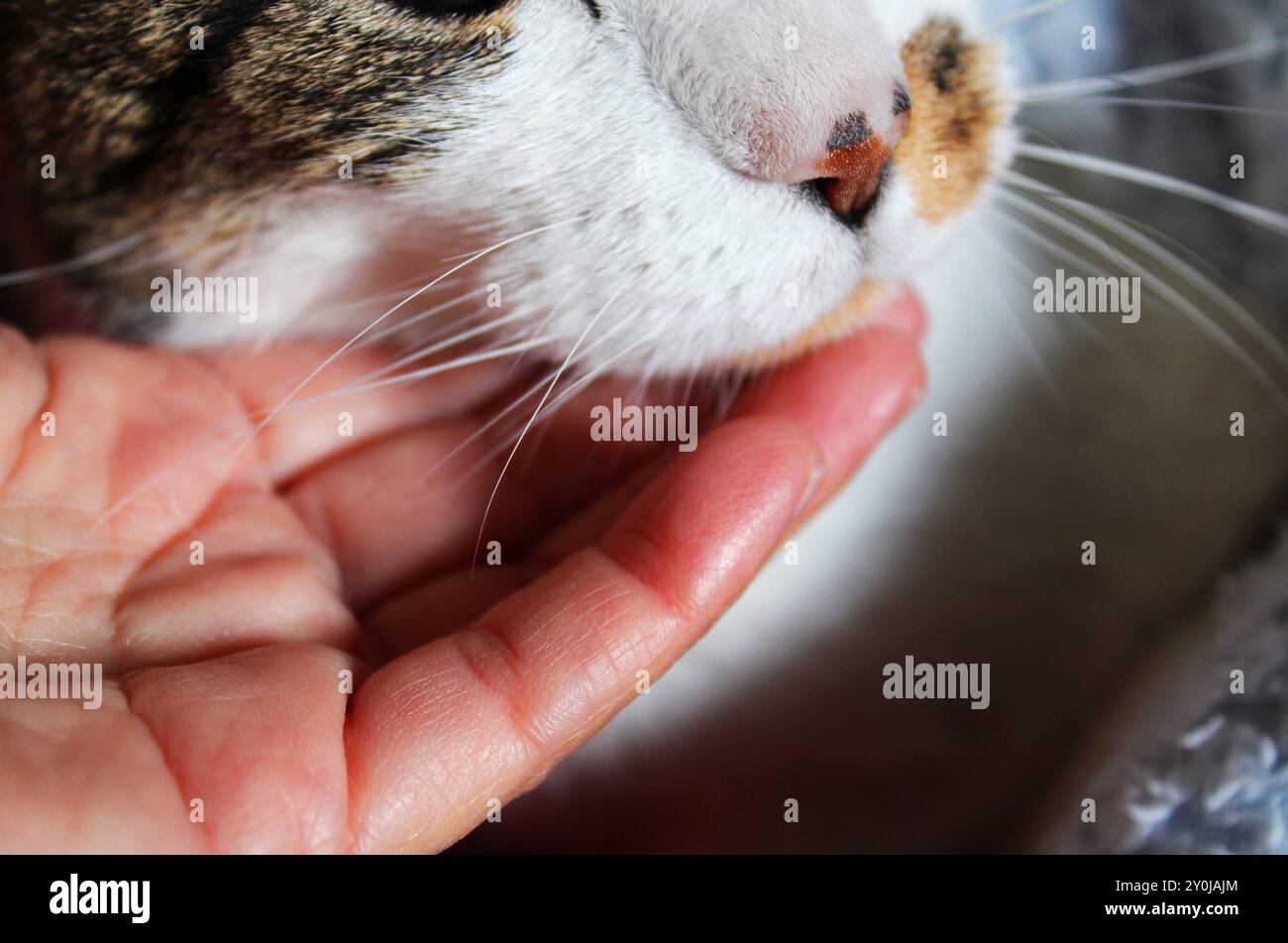 Caress face hi-res stock photography and images - Alamy