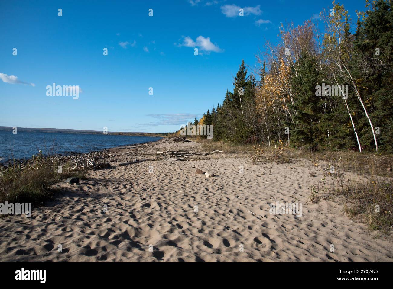 beach near Marten River campground in Lesser Slave Lake Provincial Park ...