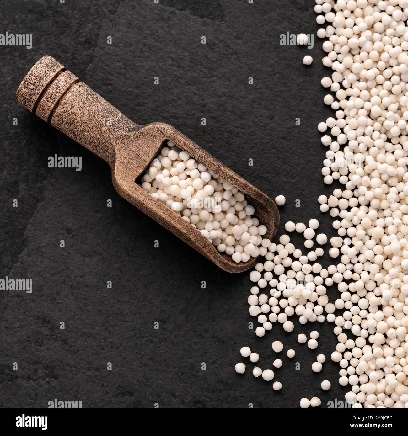 Organic tapioca pearls, cassava starch from the yuca root - Manihot ...