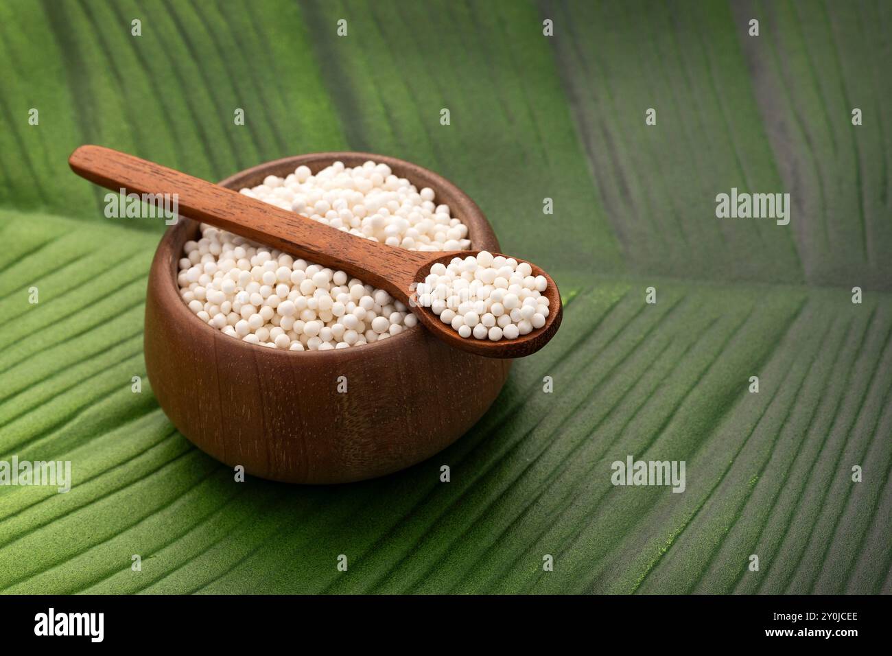 Tapioca balls cassava starch made from the cassava root - Manihot ...