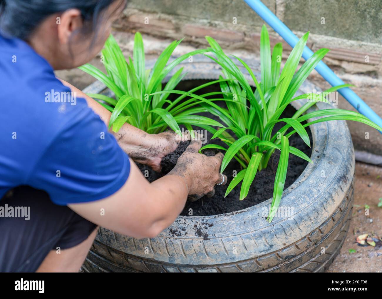 Young gardener in old hi-res stock photography and images - Alamy