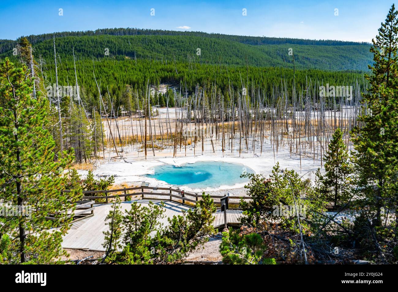 Yellowstone National Park Norris Geyser Basin and Fountain Paint Pots ...