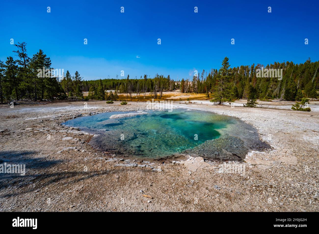 Yellowstone National Park Norris Geyser Basin and Fountain Paint Pots ...