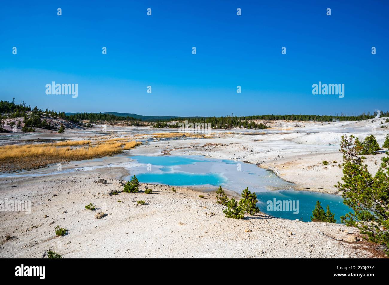 Yellowstone National Park Norris Geyser Basin and Fountain Paint Pots ...
