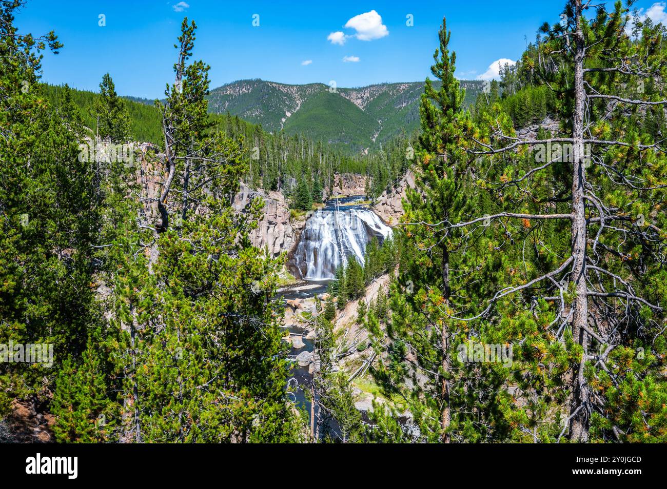 Yellowstone National Park Gibbon Waterfall Overlook Stock Photo - Alamy