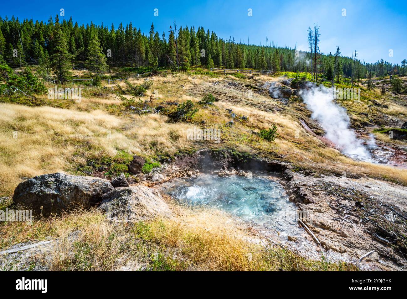 Yellowstone National Park Norris Geyser Basin and Fountain Paint Pots ...