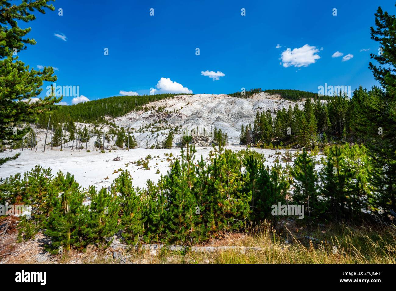 Yellowstone National Park Roaring Mountain and vicinity Stock Photo - Alamy