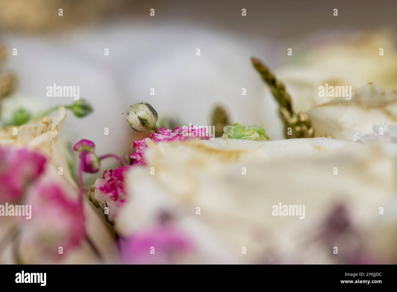 A composition of different types of flowers for a gift, a combination ...