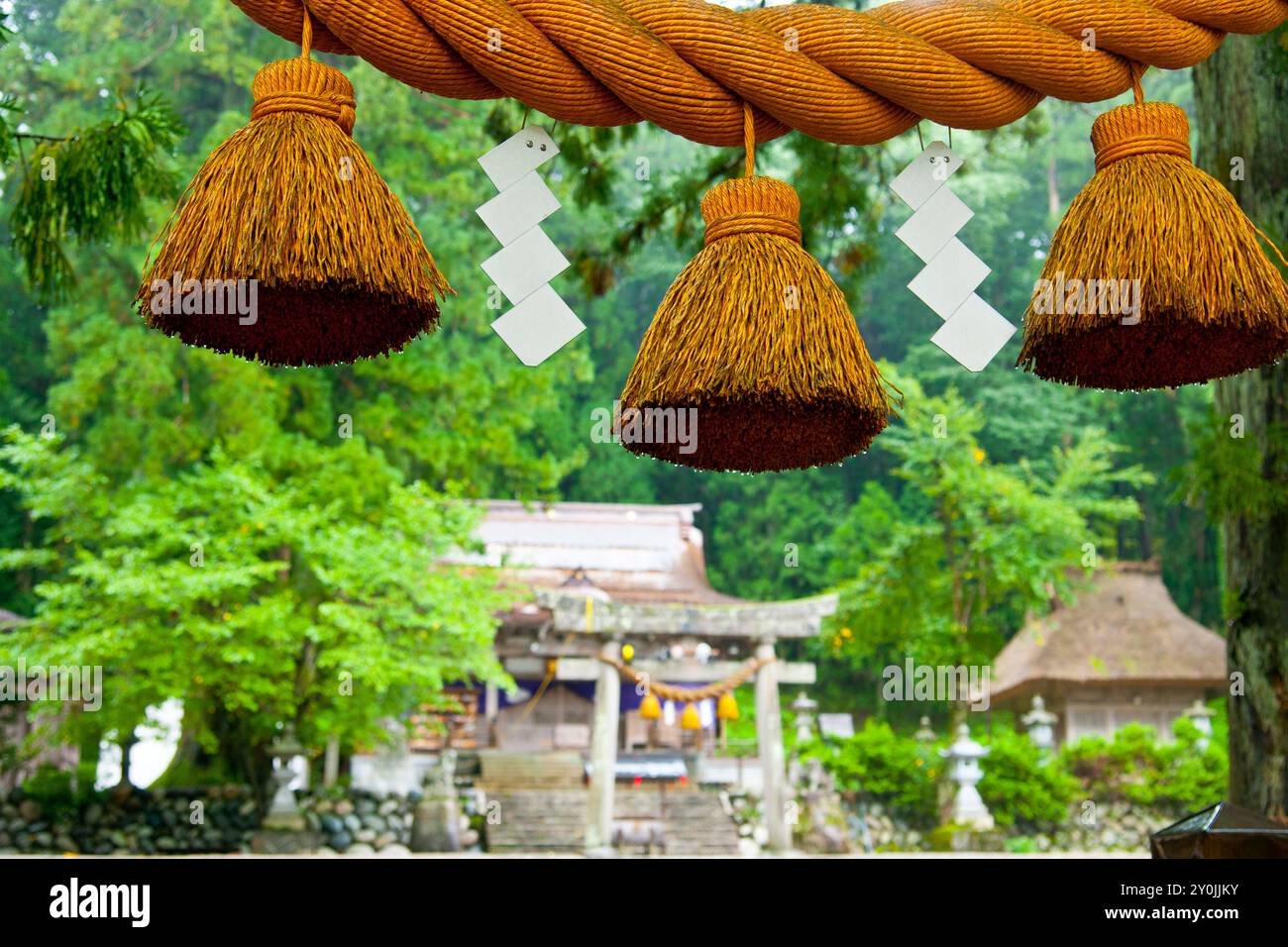 Straw festoon tied at the Torii gate of the Shirakawahachiman shrine ...