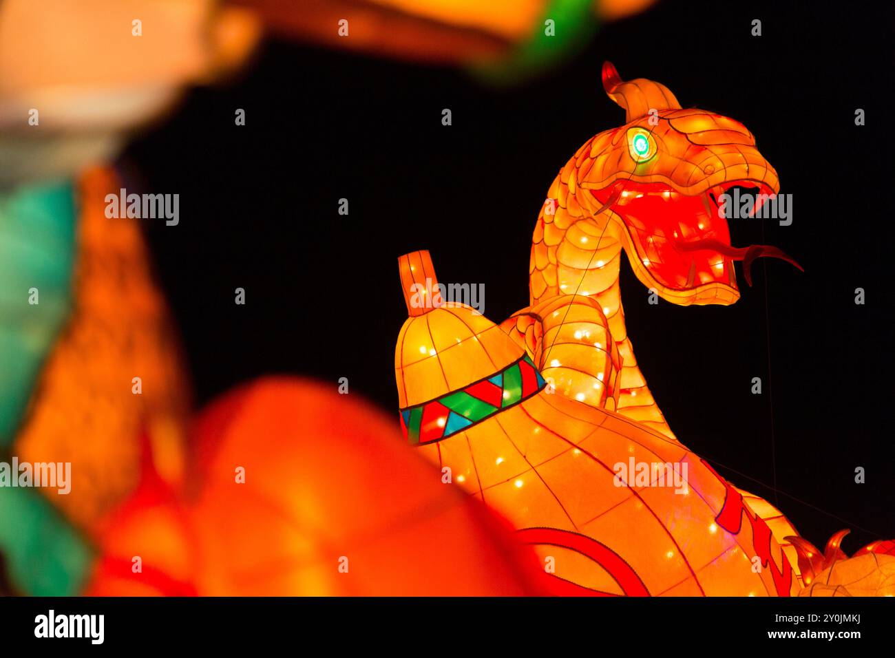 Snake lantern hi-res stock photography and images - Alamy