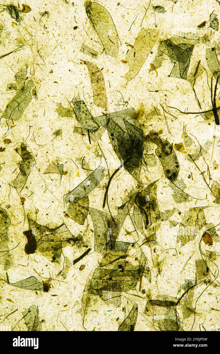 Japanese paper background hi-res stock photography and images - Alamy