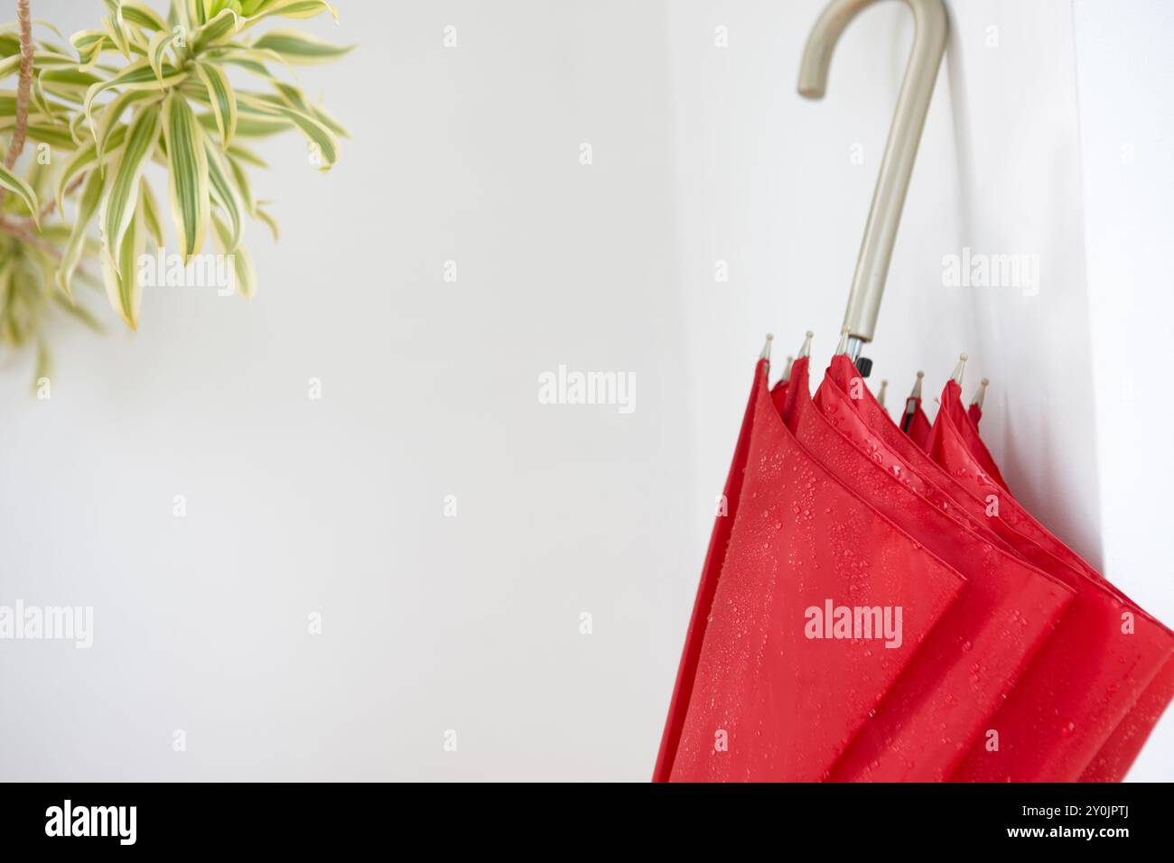 Umbrella placed in a room Stock Photo - Alamy