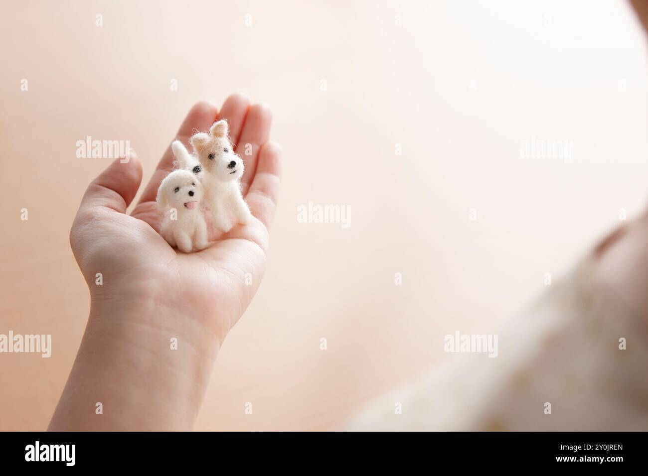 Dool hi-res stock photography and images - Alamy