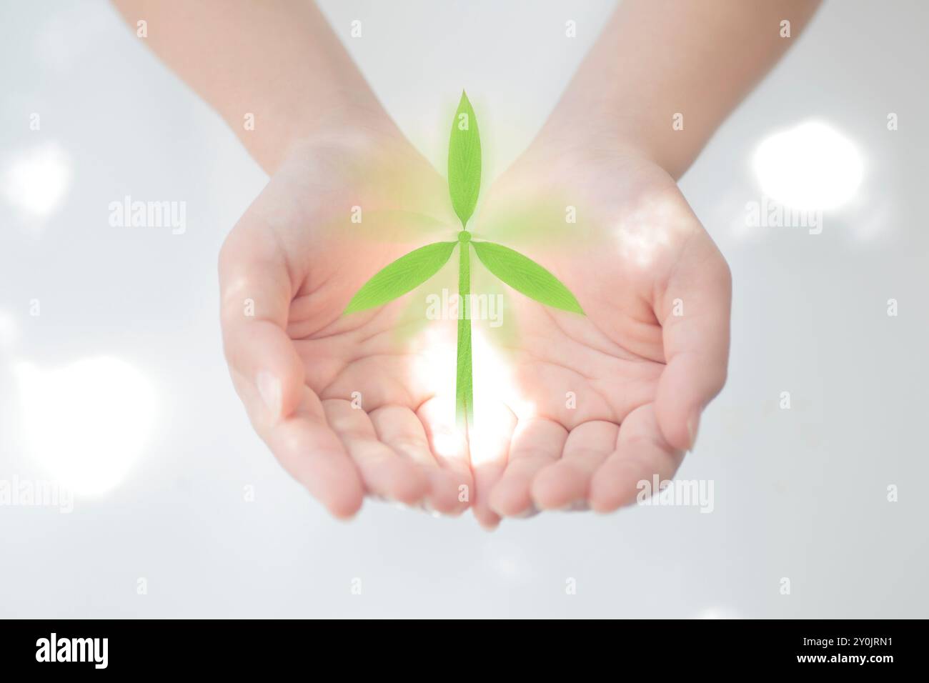 Hand of a child holding a leafy image of wind power Stock Photo - Alamy