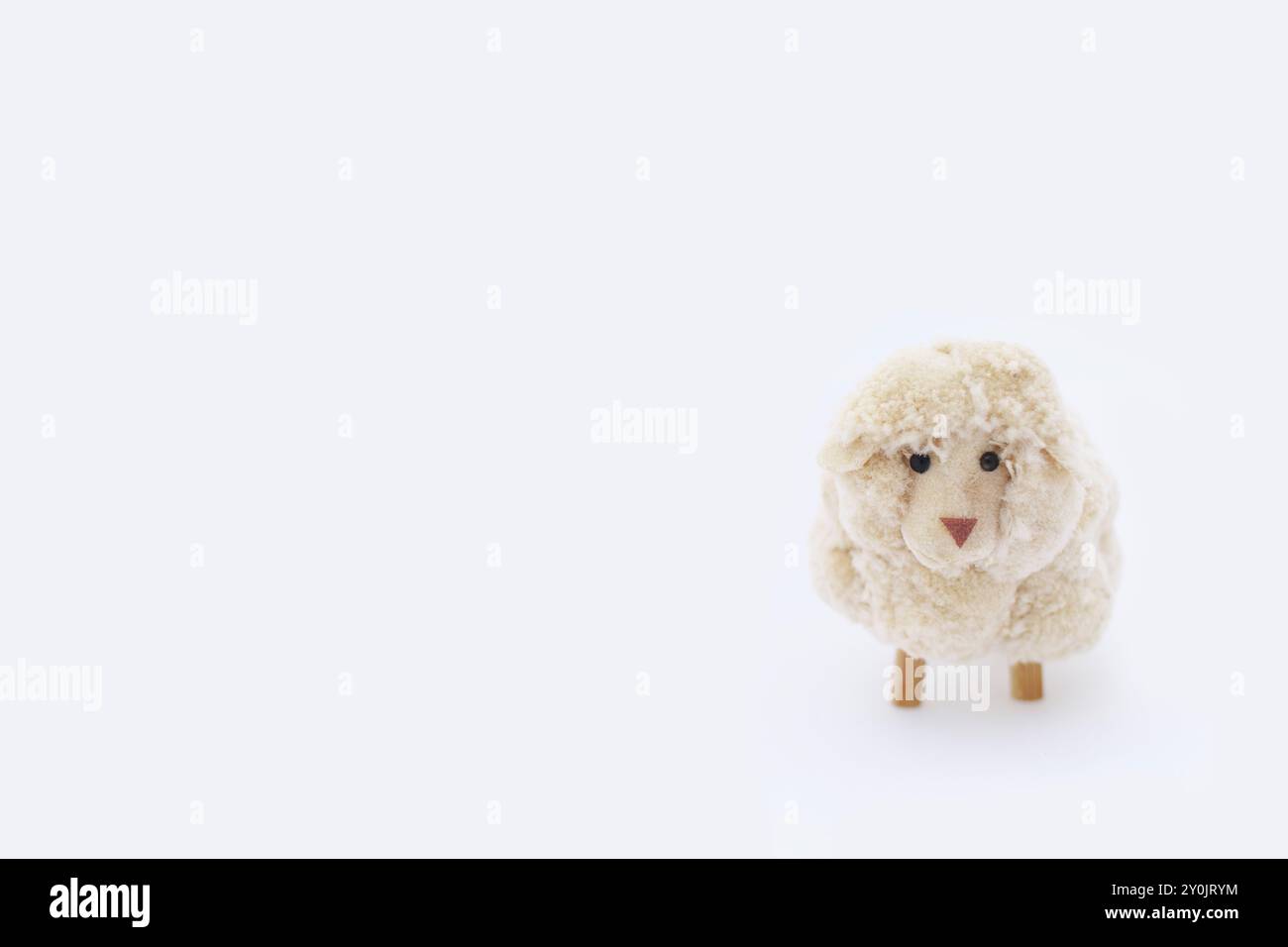 Back sheep hi-res stock photography and images - Alamy