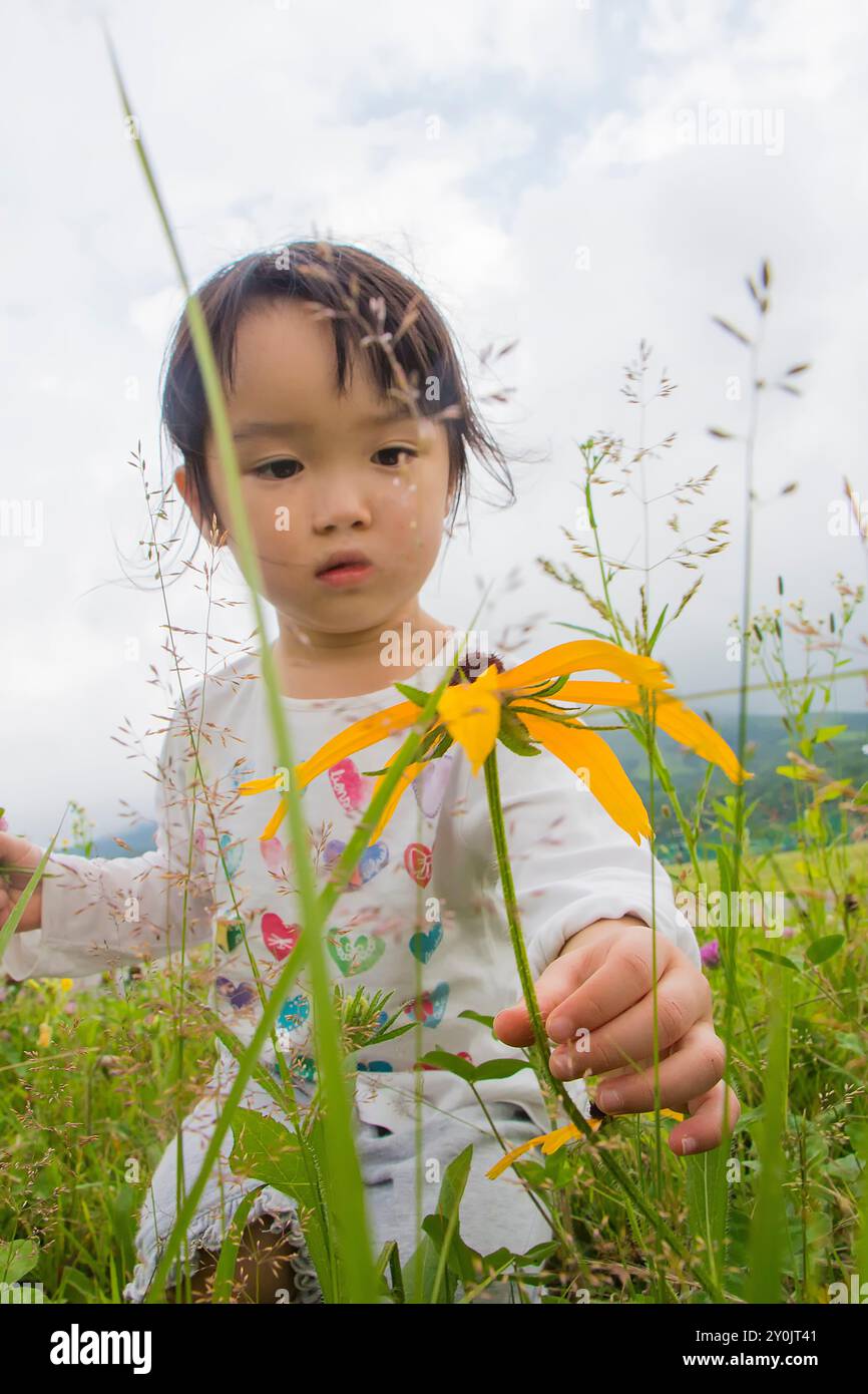 Girl taking a flower Stock Photo - Alamy