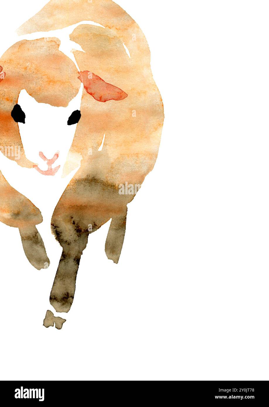 Sheep walking on the left side Stock Photo - Alamy