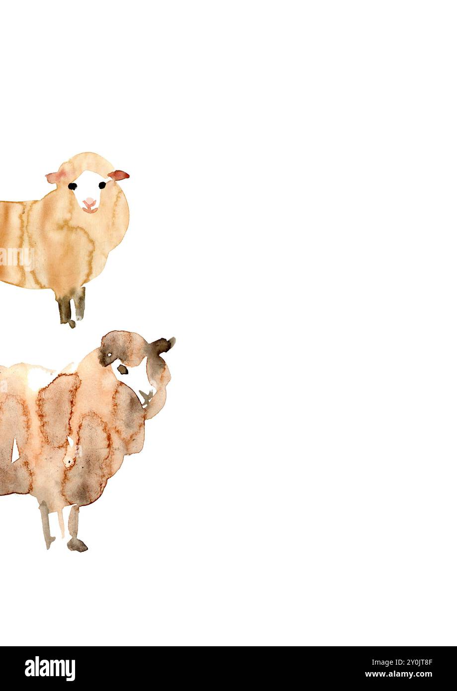 Animals right Cut Out Stock Images & Pictures - Alamy