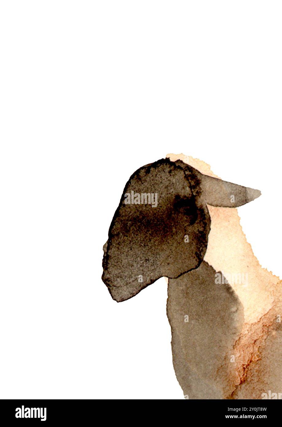 Head of sheep facing to the left Stock Photo - Alamy