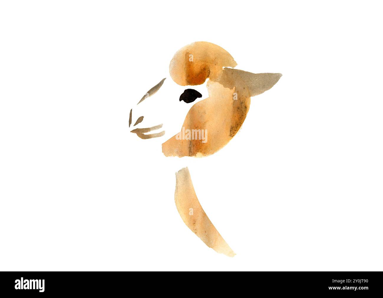 Head facing left Cut Out Stock Images & Pictures - Alamy