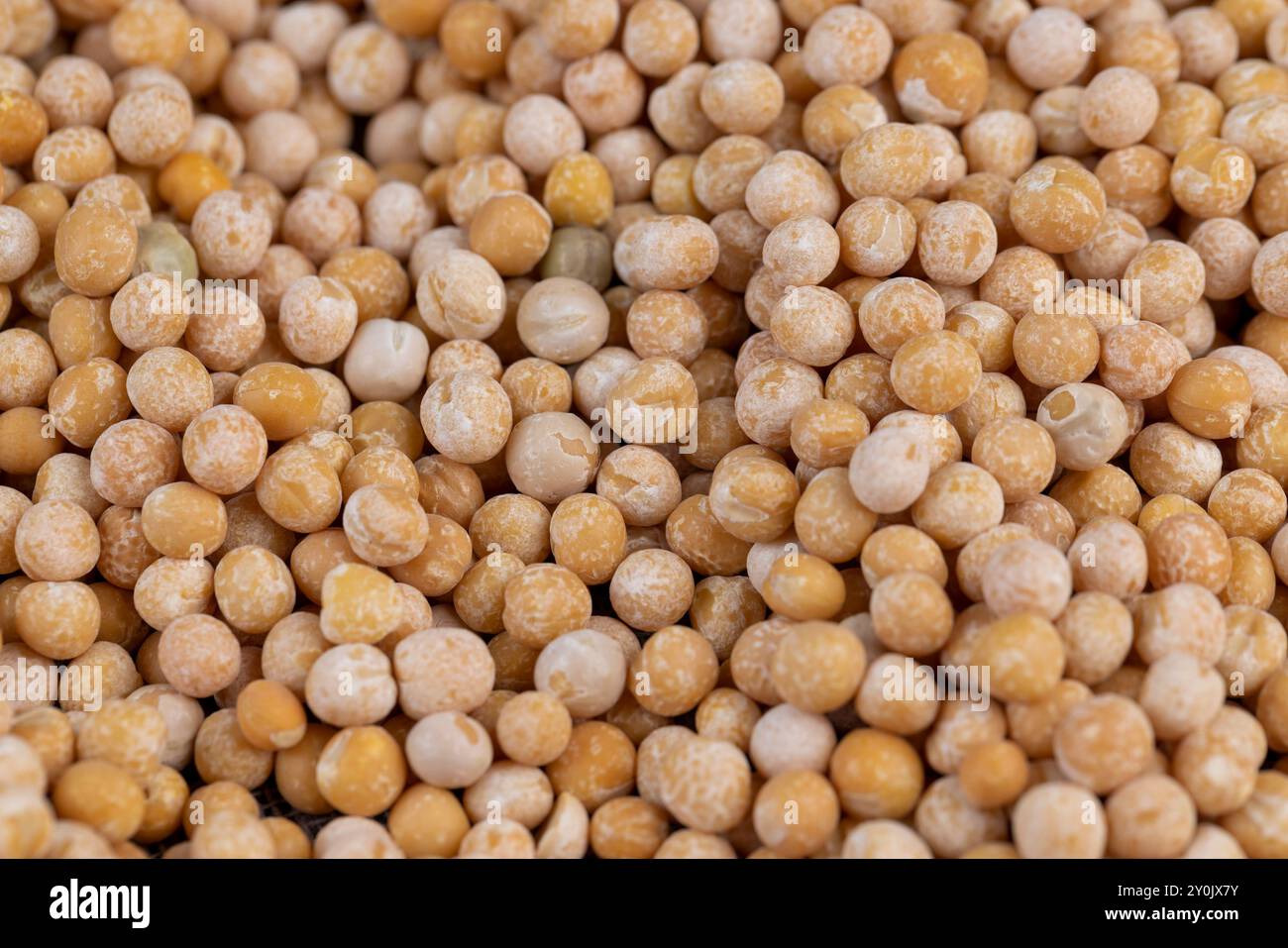 Dry hard yellow peas for cooking porridge, dry yellow peas scattered ...