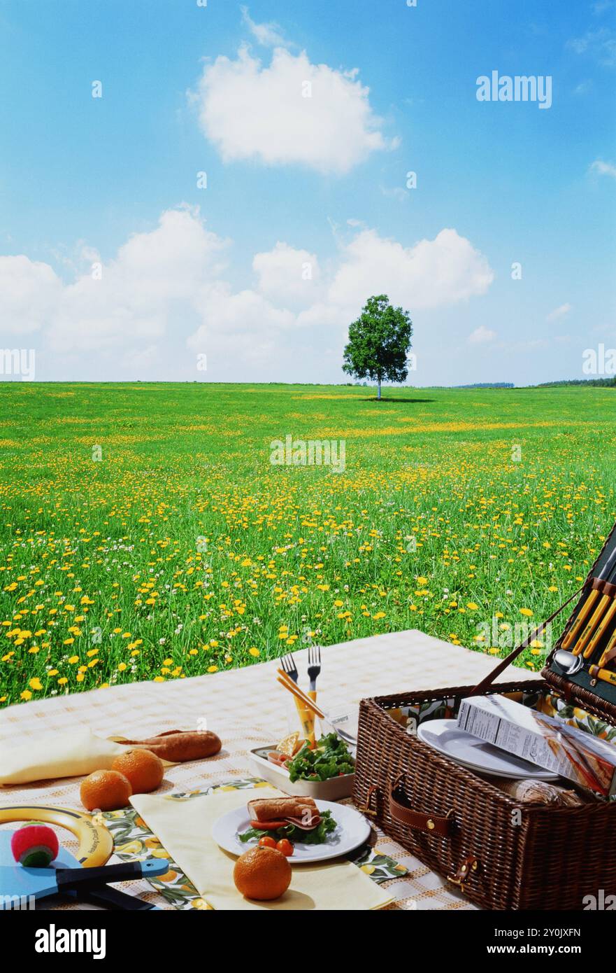 Picnic 1 hi-res stock photography and images - Alamy