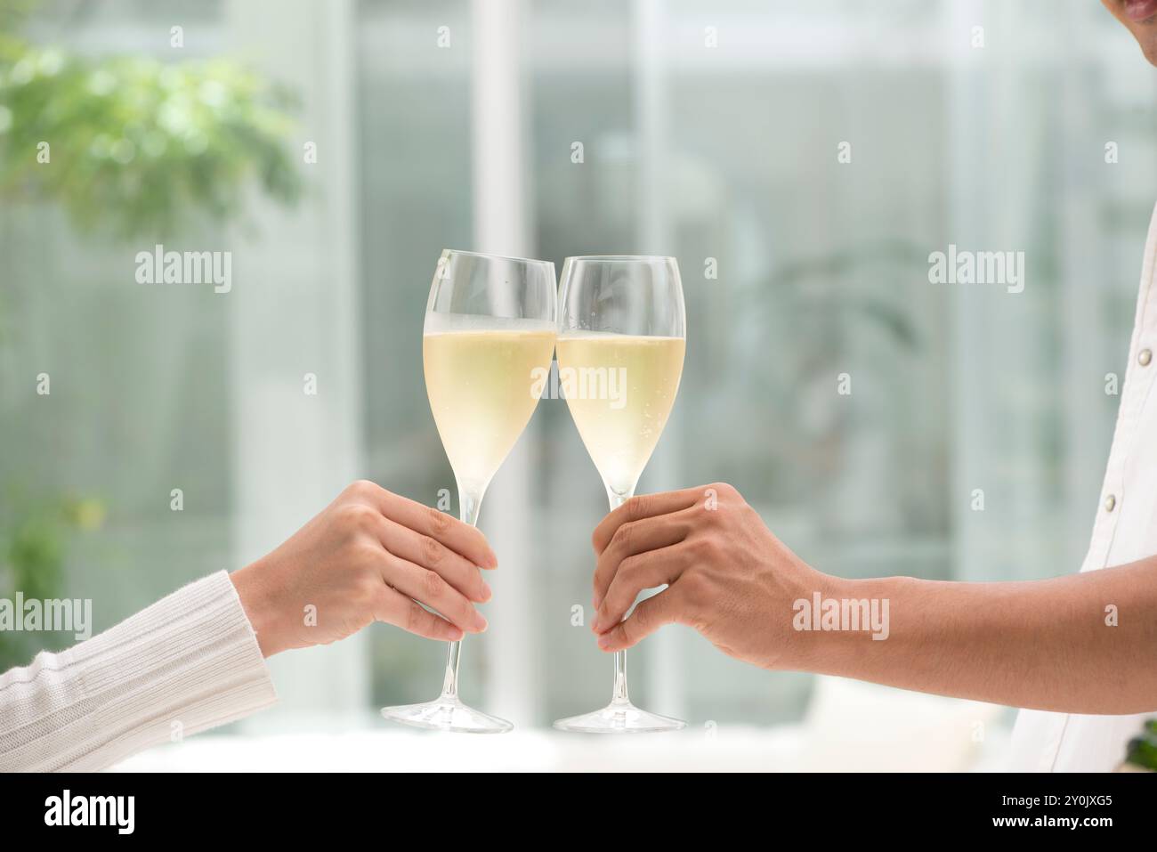 Hands toasting with champagne Stock Photo - Alamy