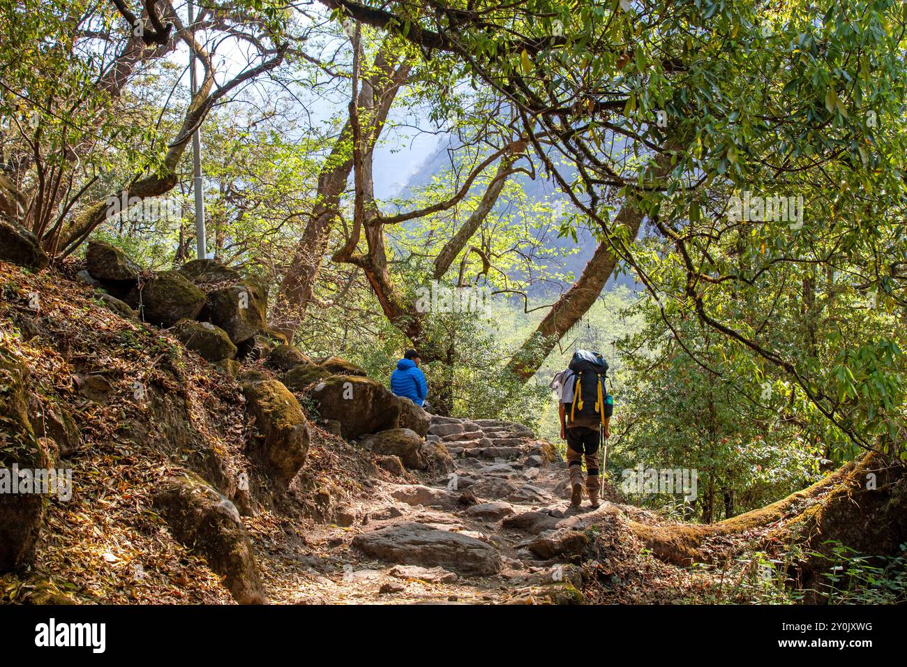 Trekking through Langtang Valley Stock Photo - Alamy