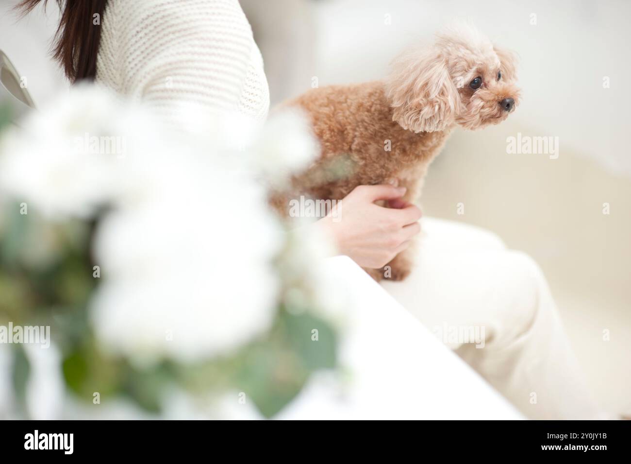 Woman carrying a dog Stock Photo - Alamy