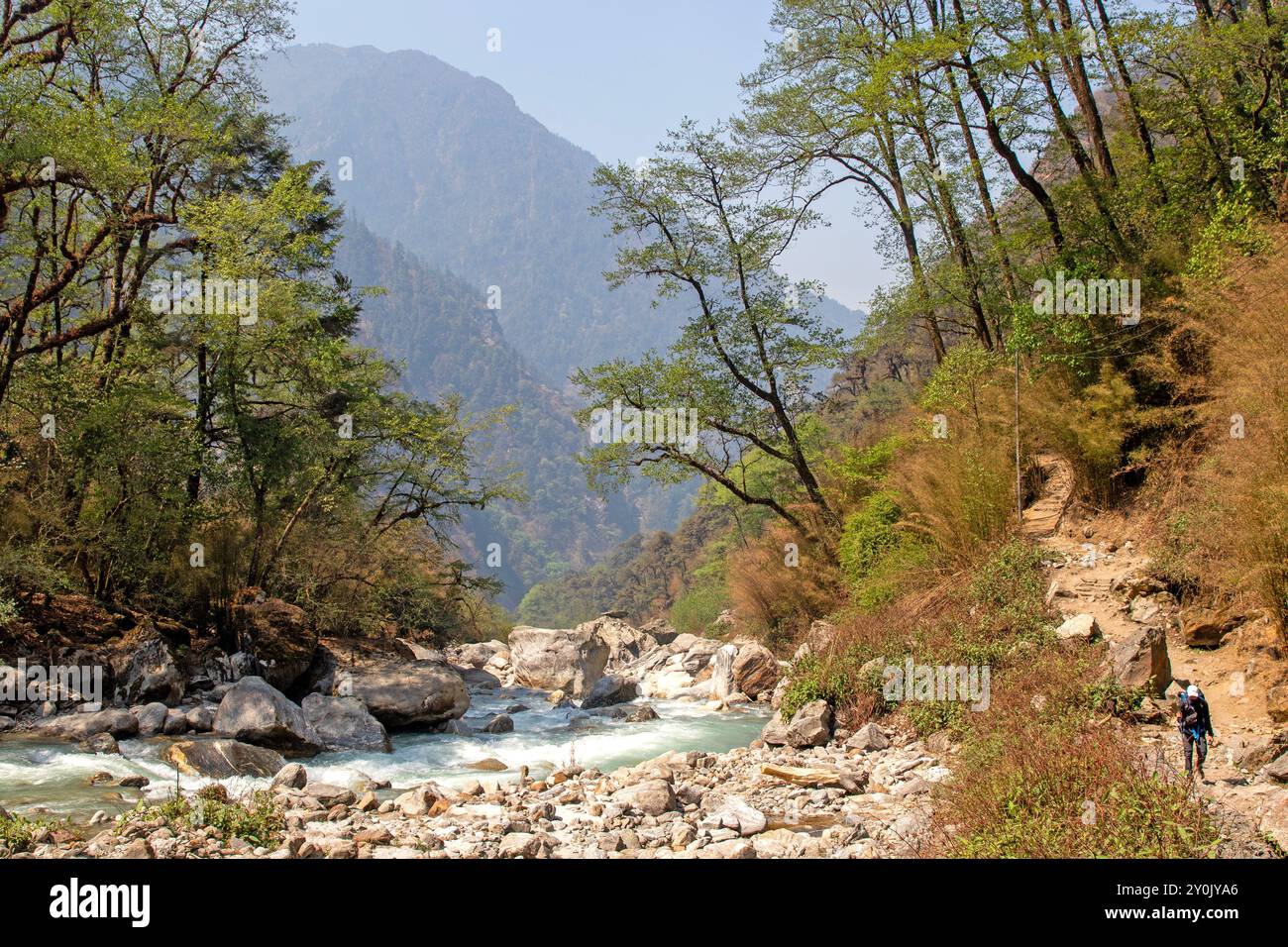 Trekking through Langtang Valley Stock Photo - Alamy