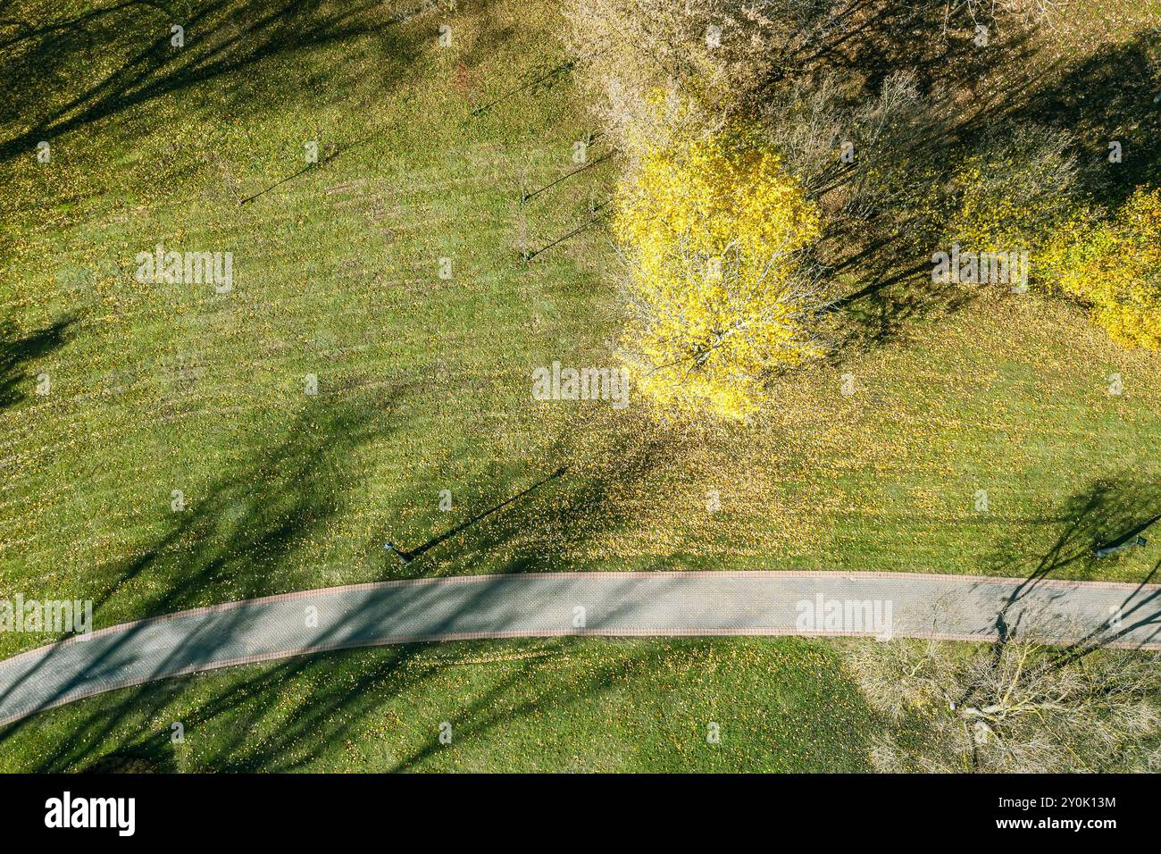 aerial view of autumn park. trees with colorful foliage and fallen ...