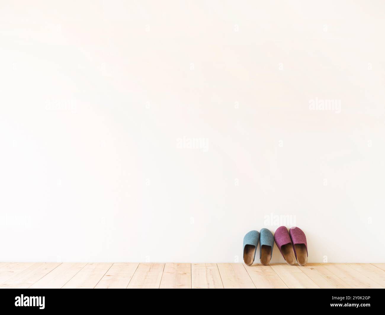 Purple slippers hi-res stock photography and images - Alamy