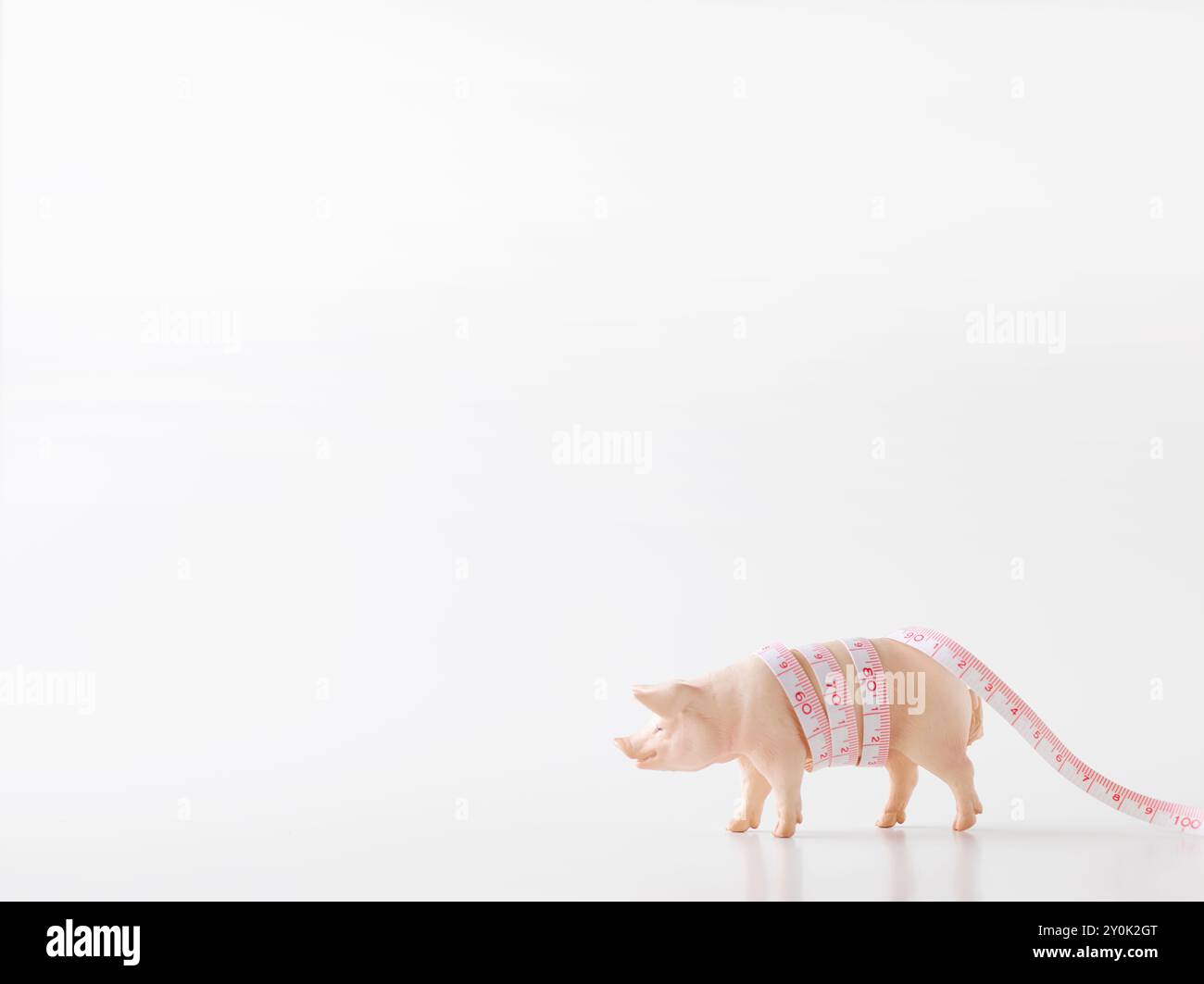 Pig and tape measure Stock Photo - Alamy
