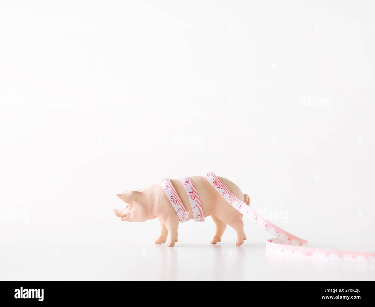Pig and tape measure Stock Photo - Alamy